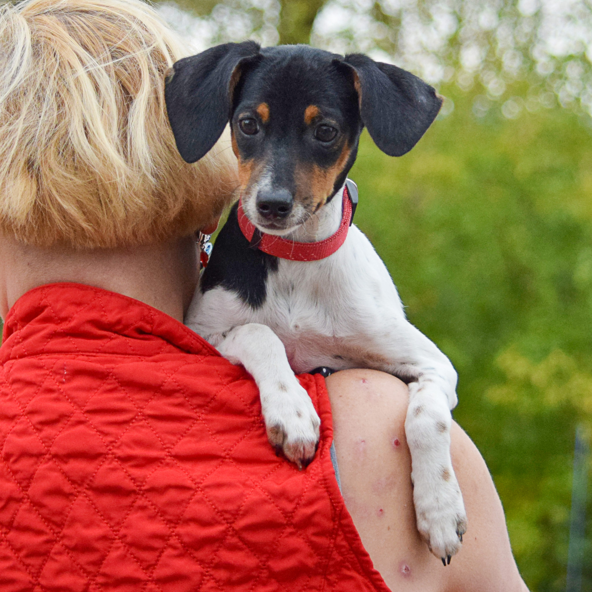 Megara - Animal House Shelter