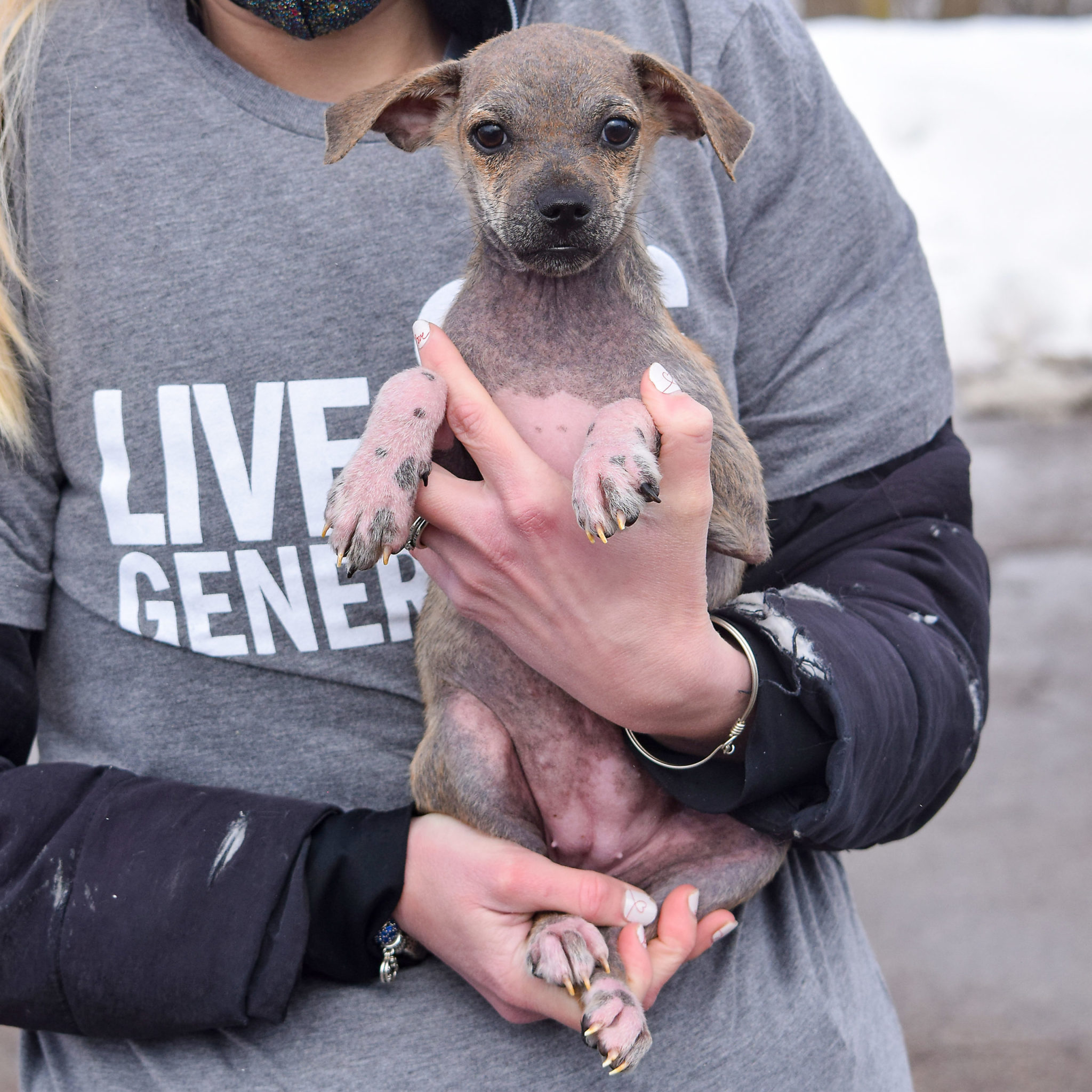 Jayde - Animal House Shelter