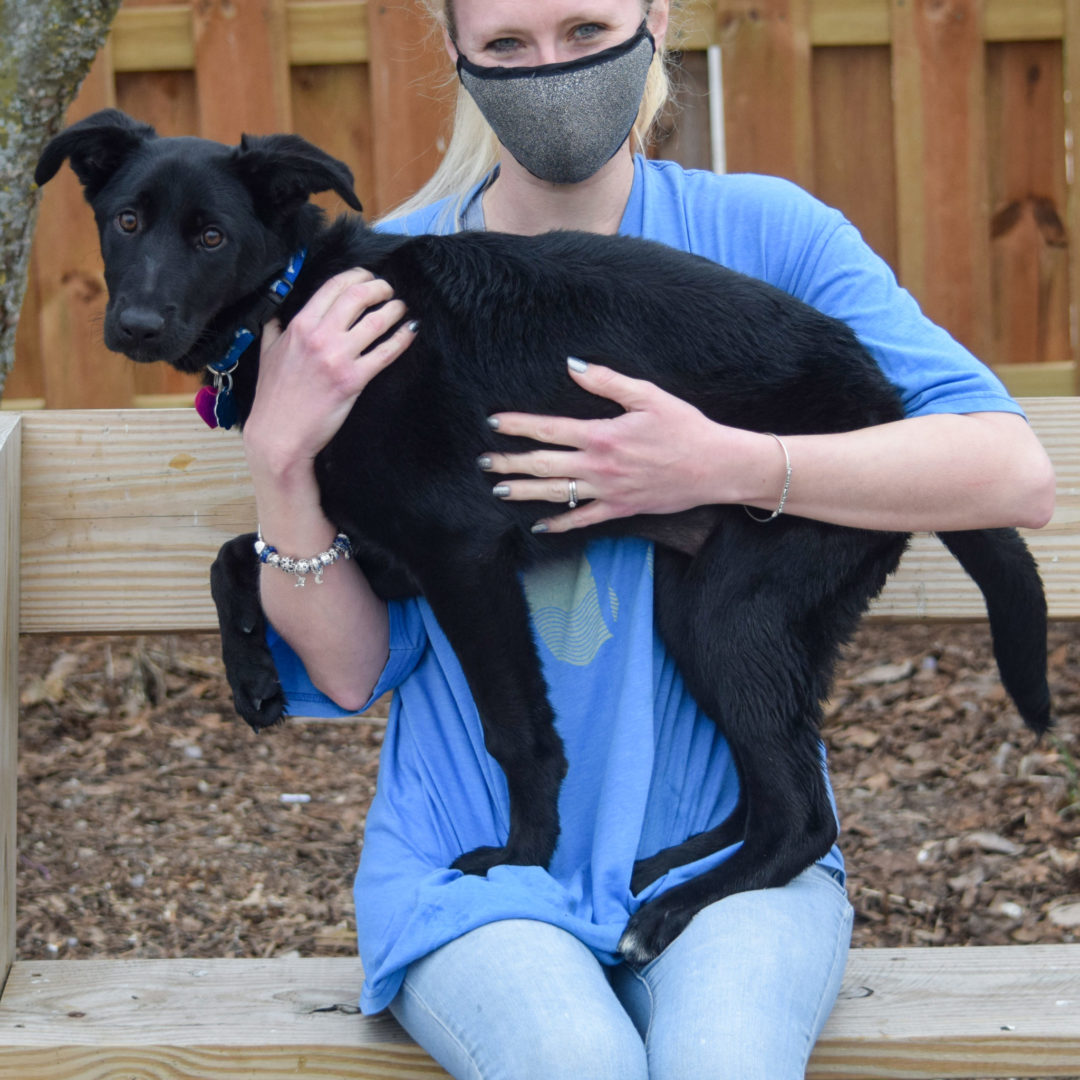 Theronda - Animal House Shelter