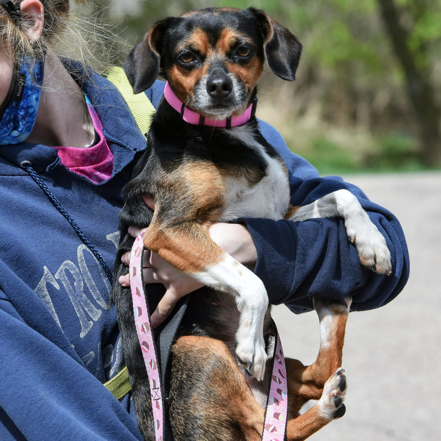 Zoe - Animal House Shelter