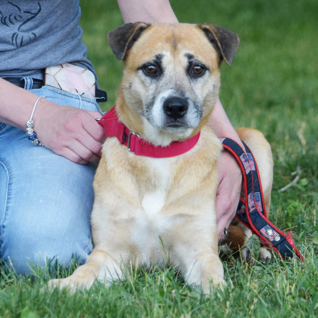 Patti - Animal House Shelter