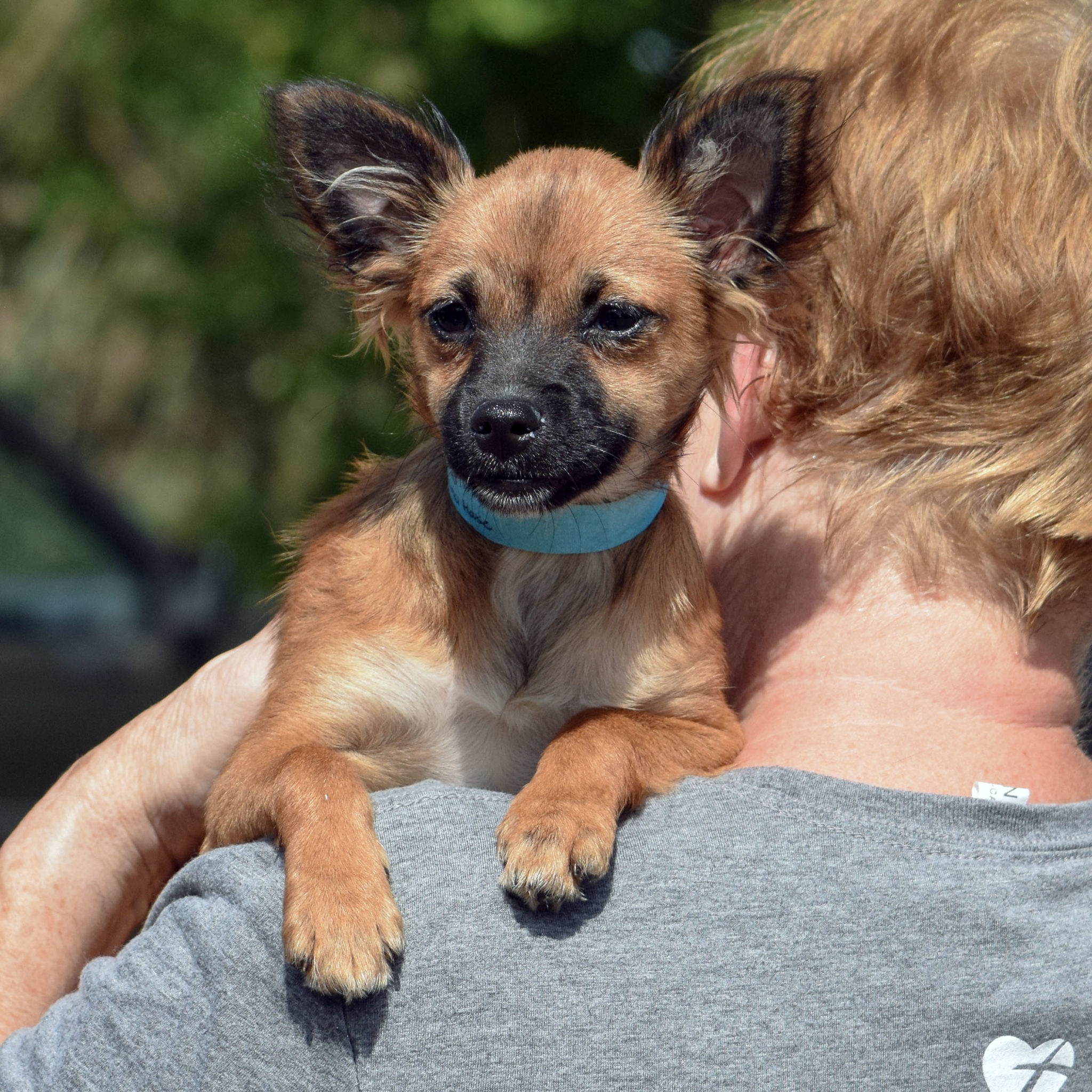 Janet - Animal House Shelter