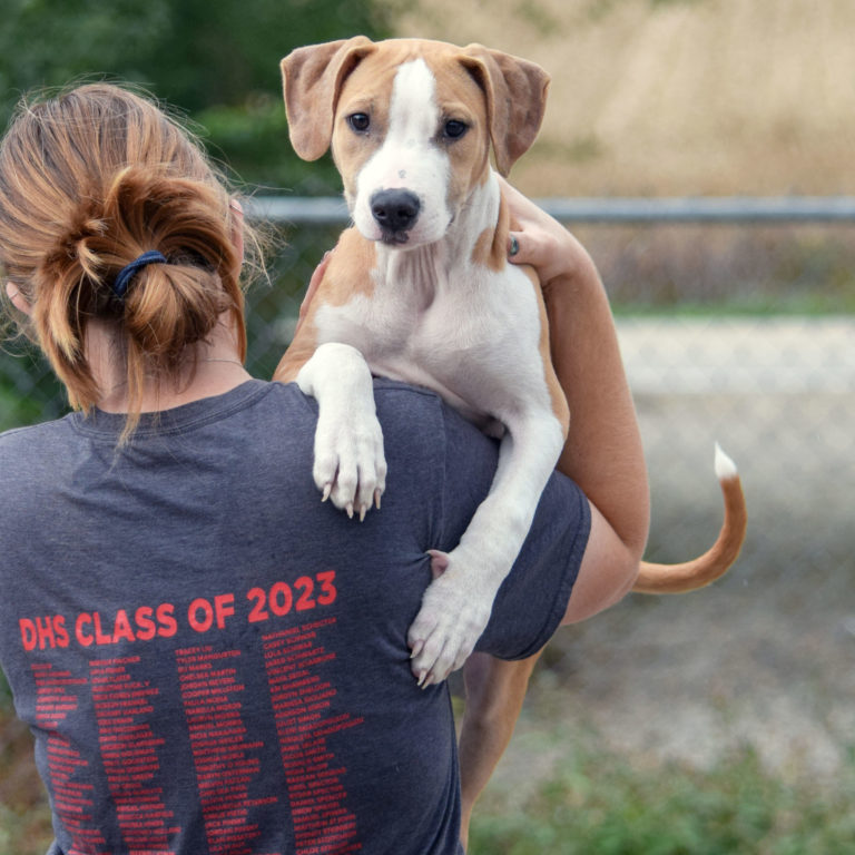 Dennis - Animal House Shelter