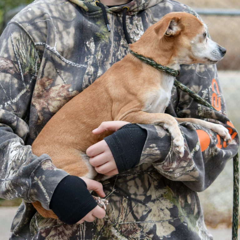 Nacho - Animal House Shelter