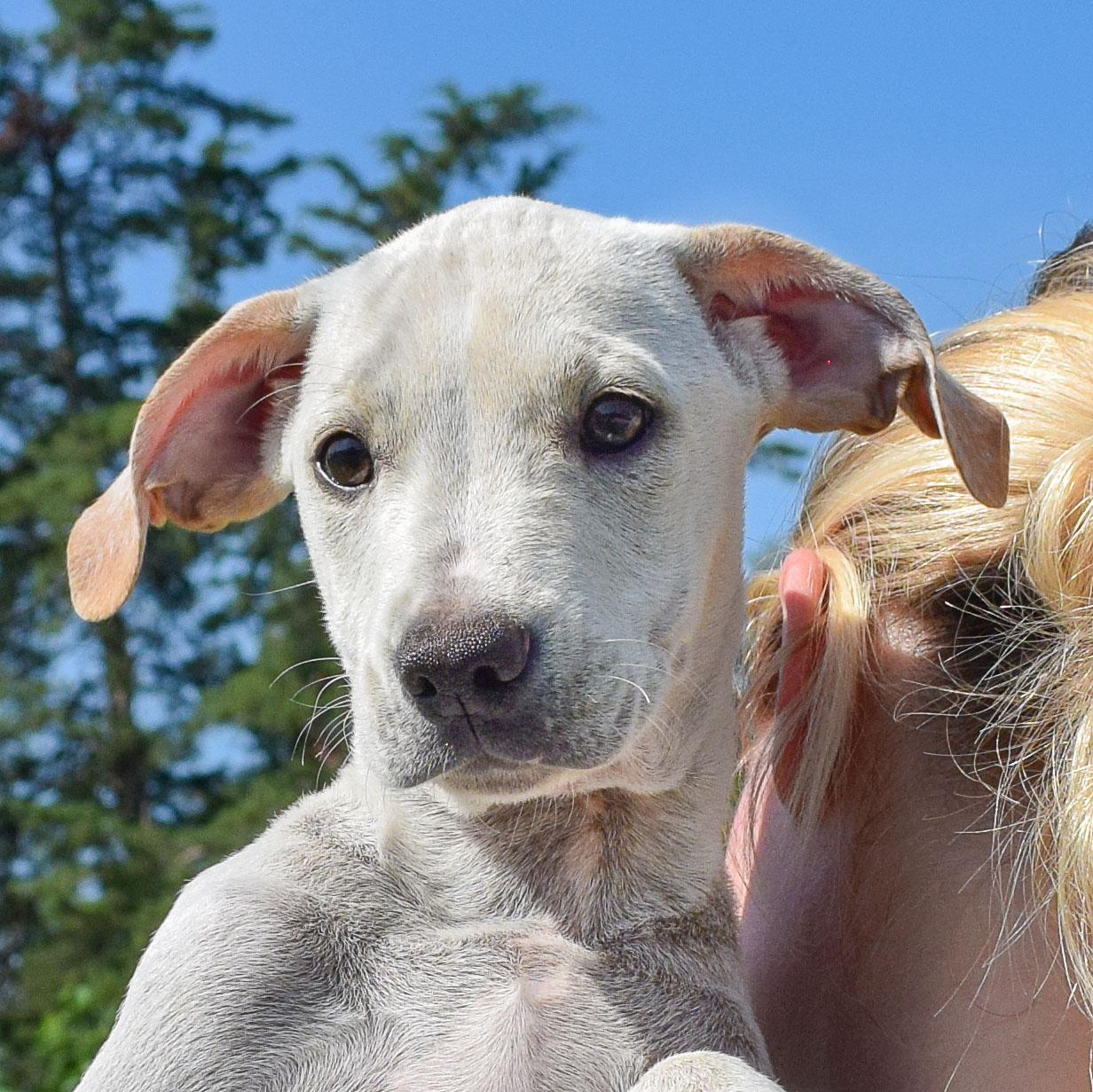 April - Animal House Shelter