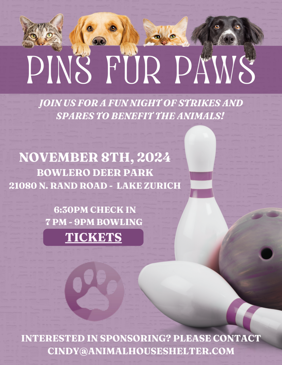 Pins Fur Paws | Annual Bowling Event | Animal House Shelter