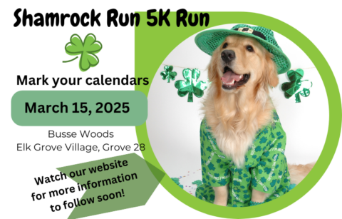 Shamrock 5K Run & Lucky Dog 5K Run - March 15, 2025 - Animal House Shelter
