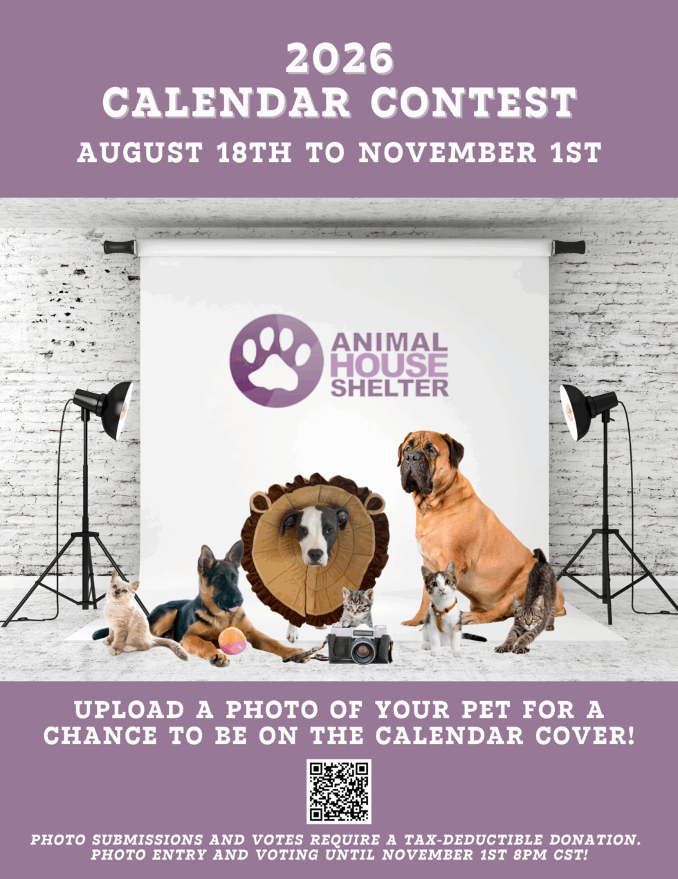 AHS Calendar Contest 2026 Aug. 18 - Nov. 1 - Animal House Shelter