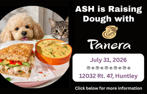 Panera - Raising Dough for AHS July 31, 2026 - Animal House Shelter